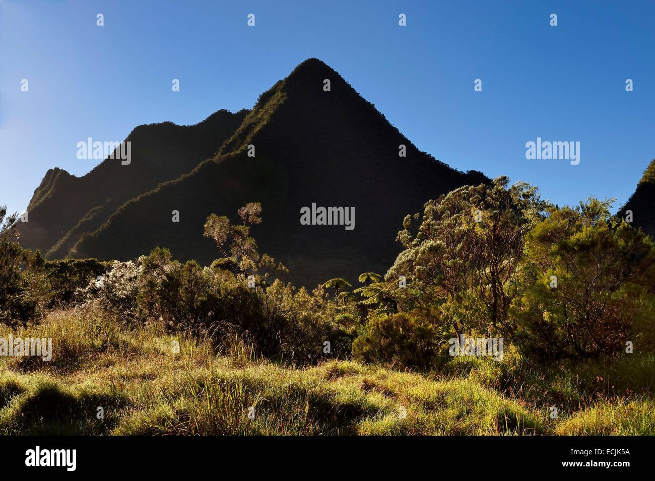 Parc national de la reunion reunion national park hi-res stock ...