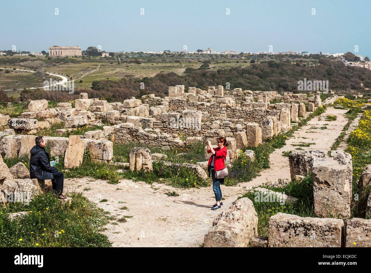 Italy, Sicily, Selinunte, the archaeological park of the ancient greek ...