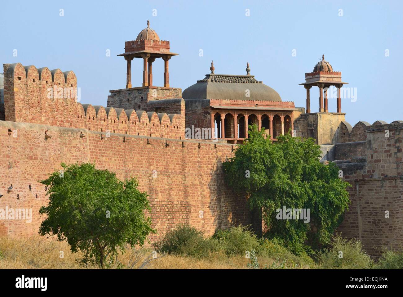 India, Rajasthan, Nagaur fort Stock Photo - Alamy