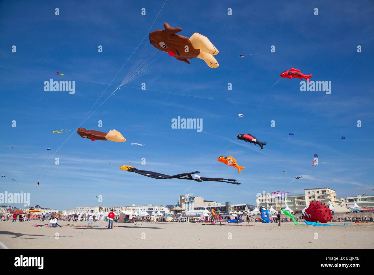 Unusual Kite High Resolution Stock Photography and Images - Alamy
