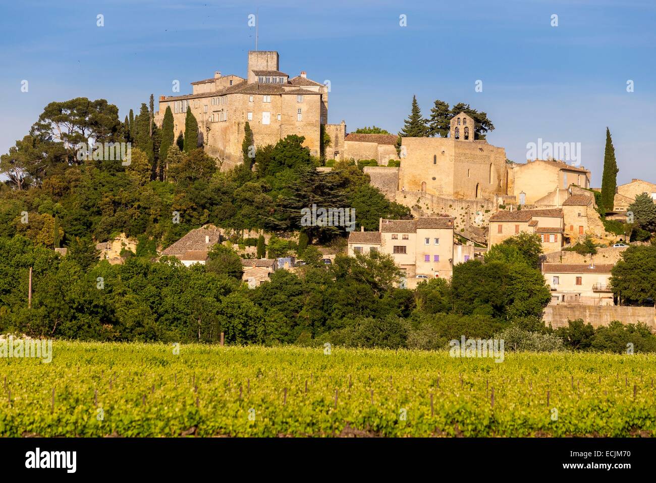 France, Vaucluse, Parc Naturel Regional du Luberon (Natural Regional ...