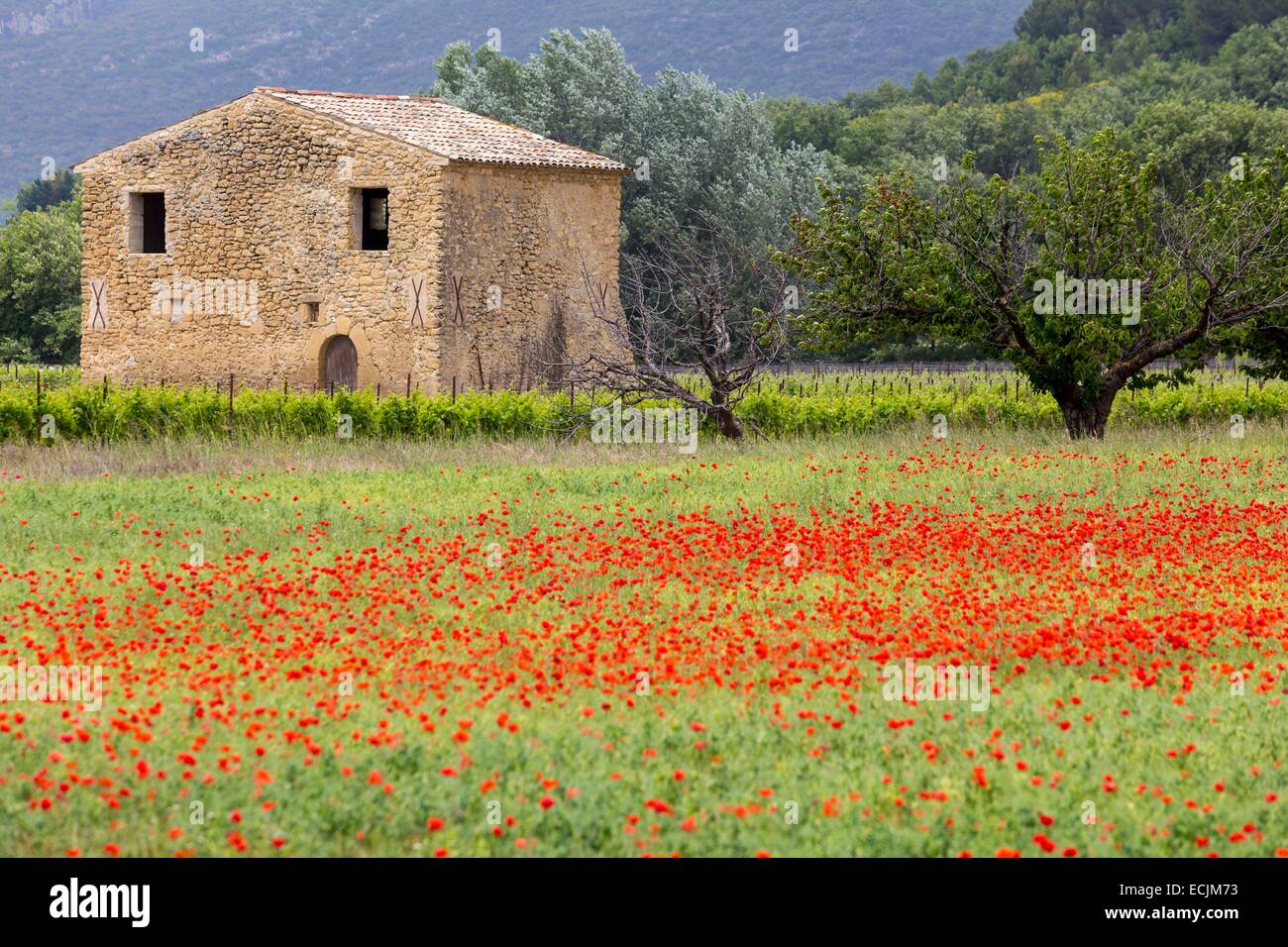Vaugines france hi-res stock photography and images - Alamy