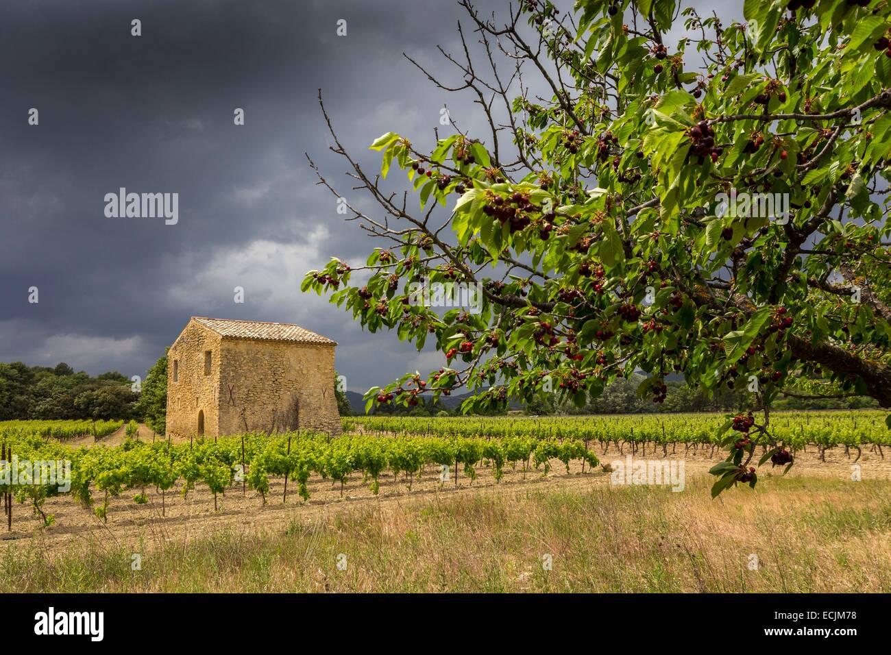 Vaugines france hi-res stock photography and images - Alamy