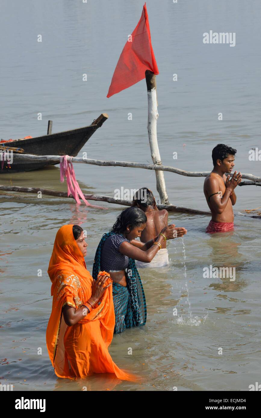 India, Bihar, Sonepur fair, Kartik Poornima (Full moon day), Morning ...