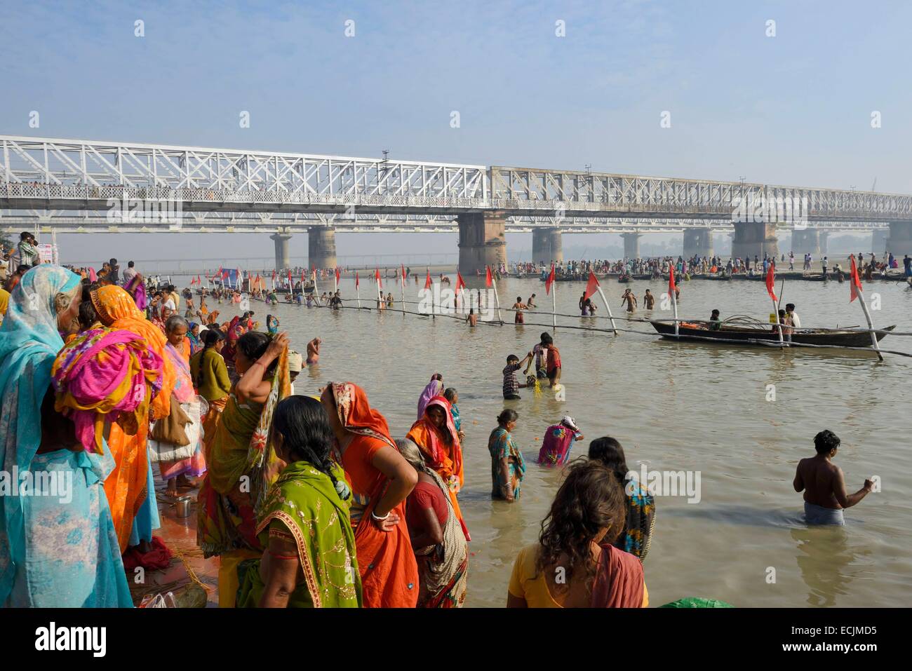 India, Bihar, Sonepur fair, Kartik Poornima (Full moon day), Morning ...