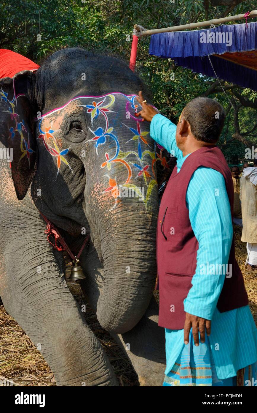 India, Bihar, Patna region, Sonepur livestock fair, The elephant bazar ...