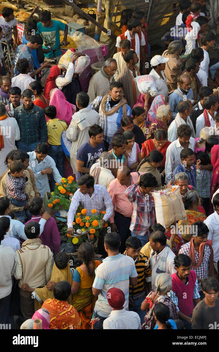 India, Bihar, Patna region, Sonepur livestock fair, Kartik Poornima ...