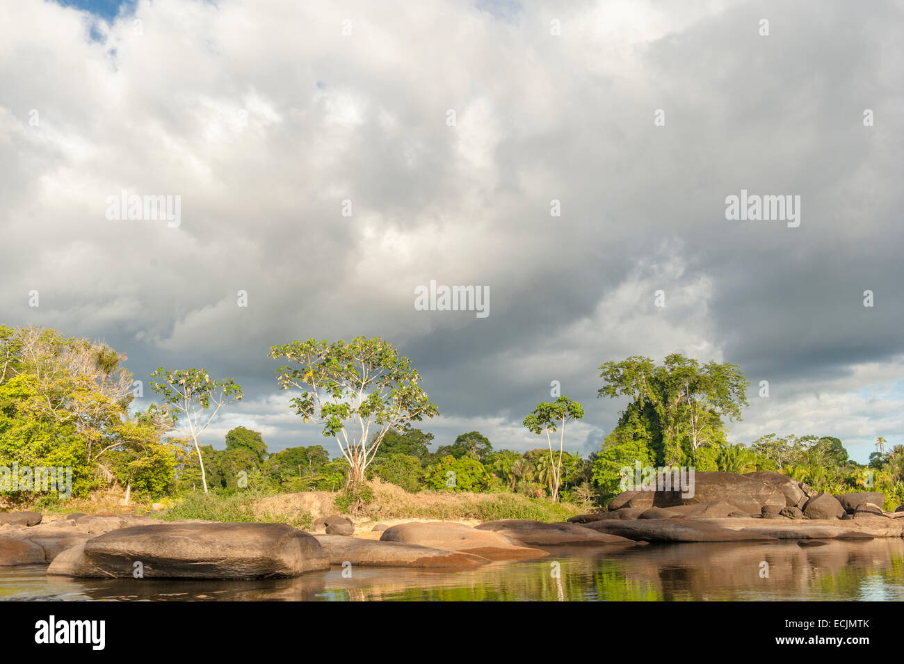 Suriname River landscape with granite rock and unspoilt rain forest in ...