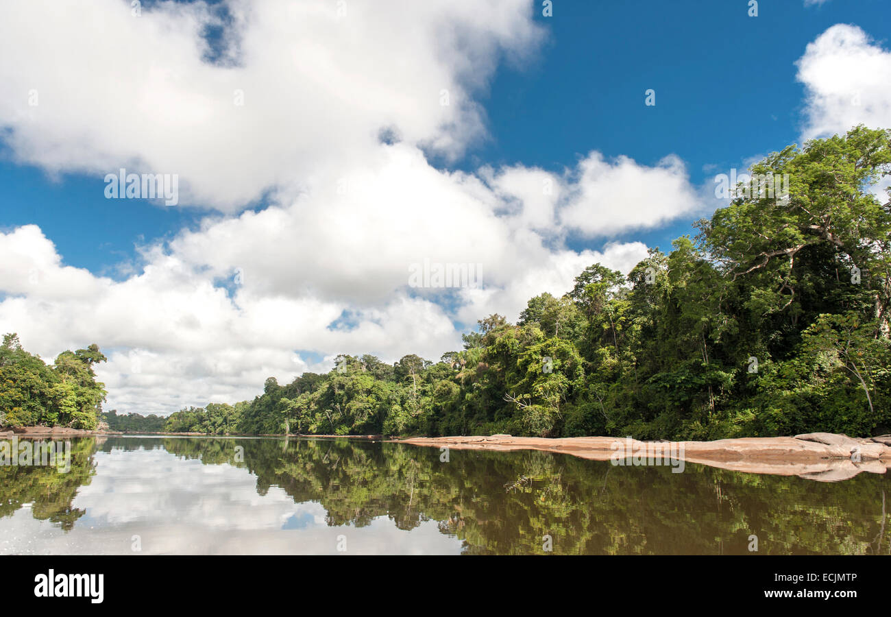 Suriname River landscape with granite rock and unspoilt rain forest in ...