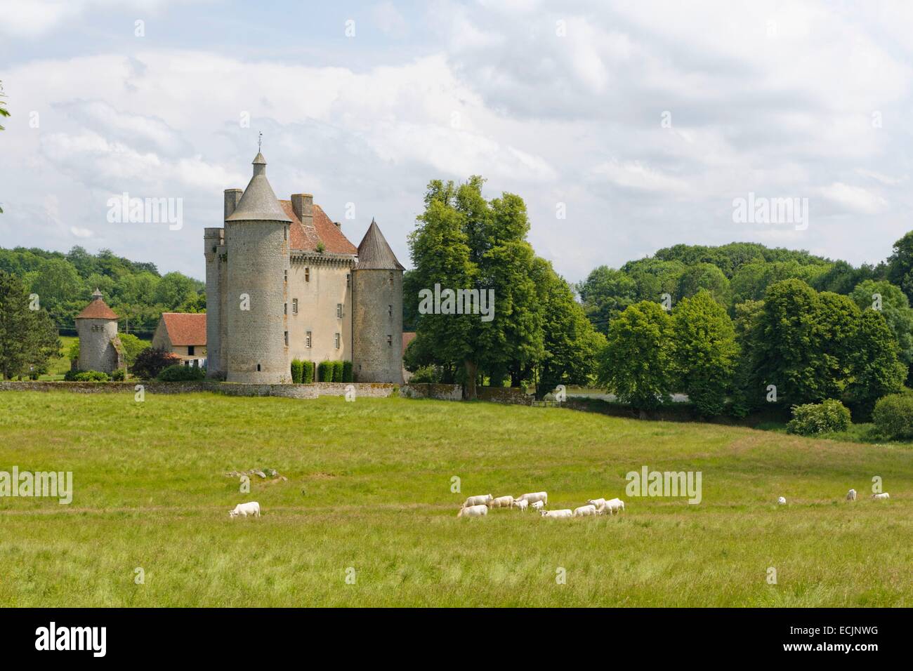 France, Creuse, Saint Pardoux les Cards, castle of Villemonteix Stock ...