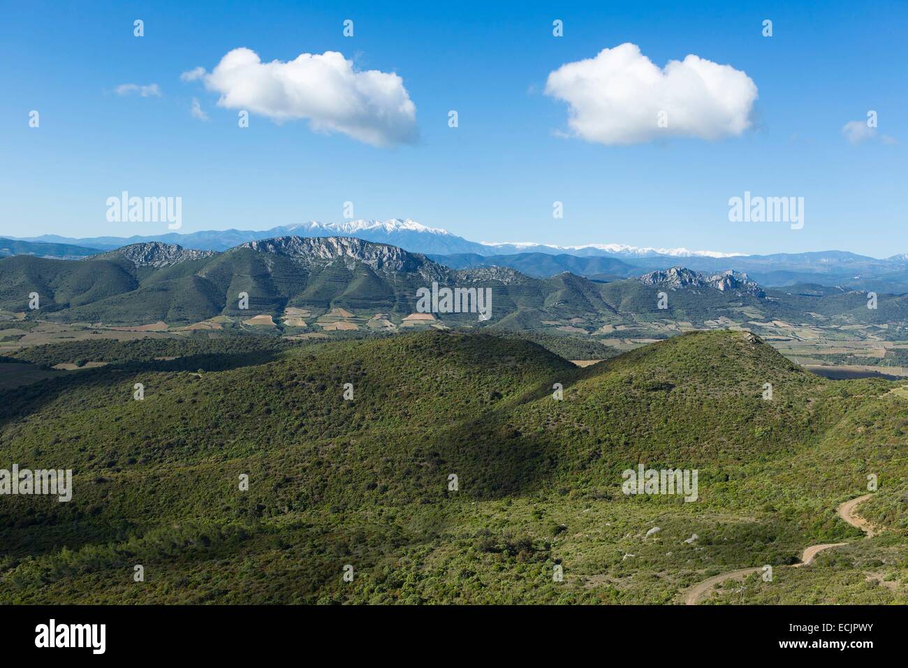 France, Pyrenees Orientales, Fenouilledes region, AOC wine of Maury ...