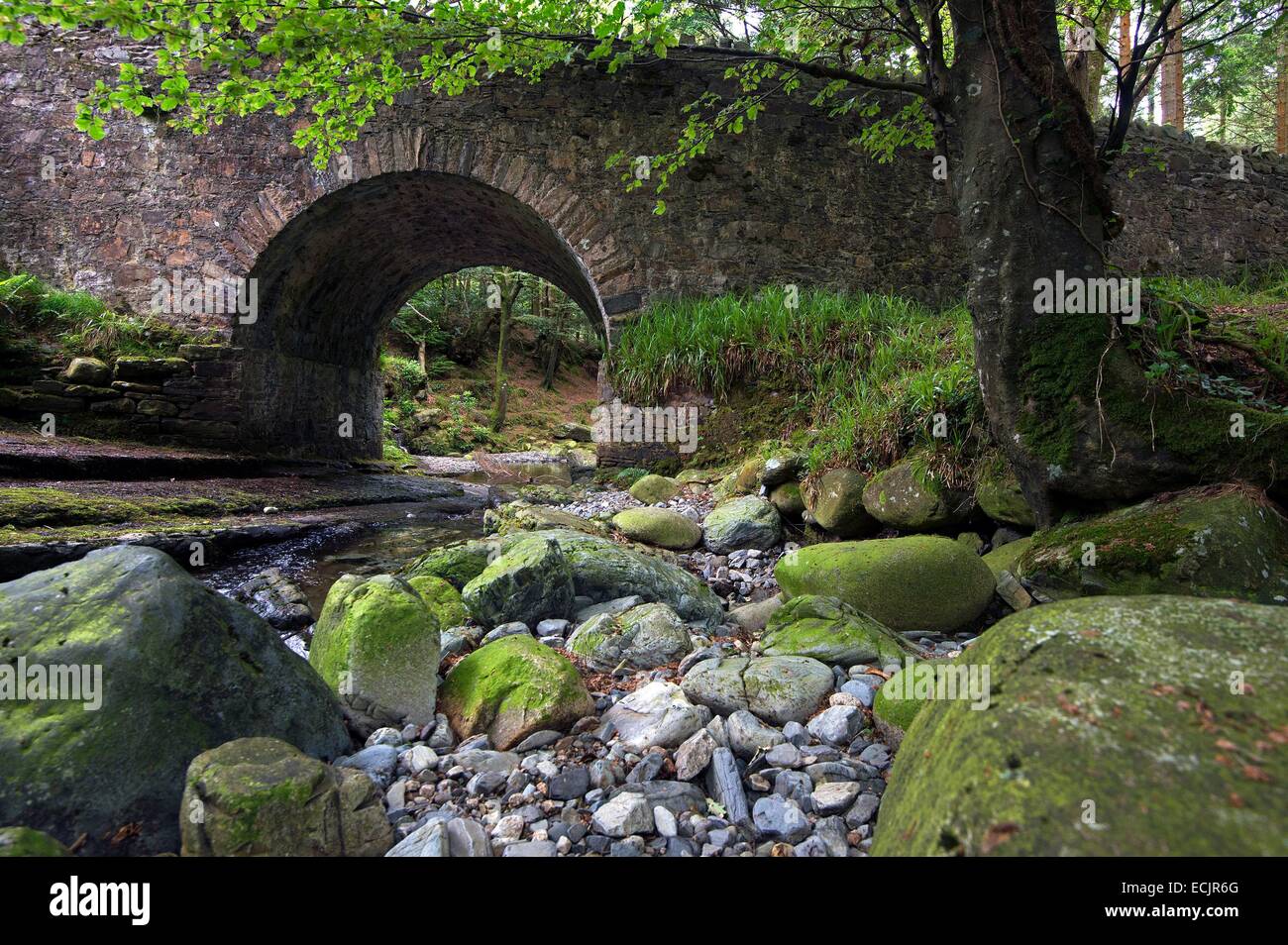 United Kingdom, Northern Ireland, County Down, Bryansford, the verdant ...