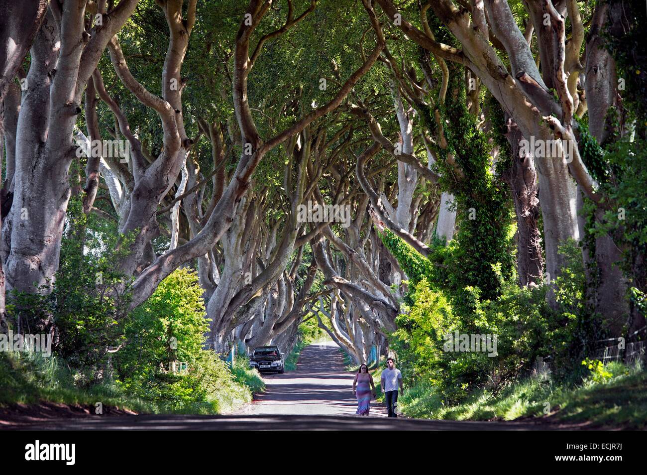Ballymoney, county antrim hi-res stock photography and images - Alamy