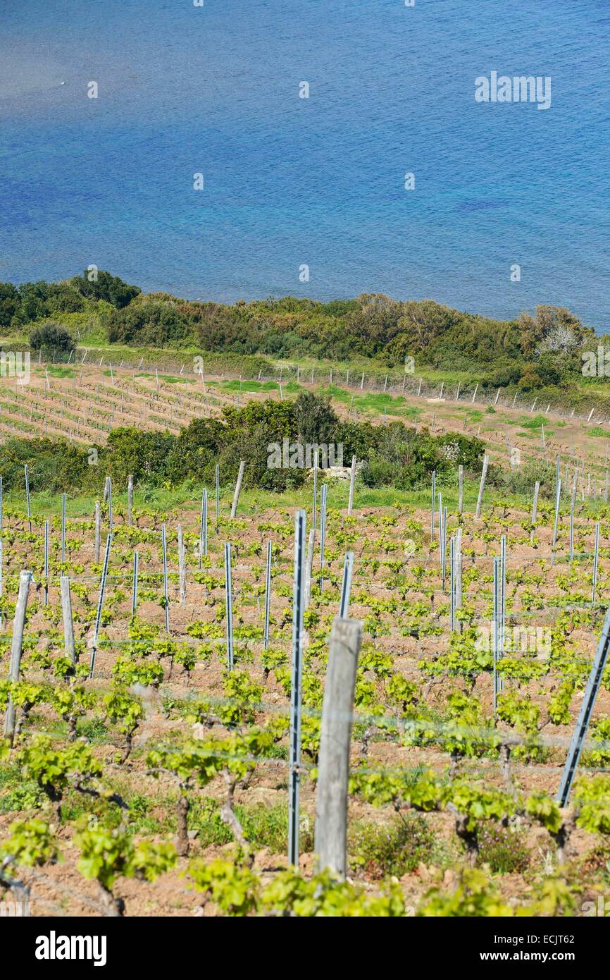 Luri hi-res stock photography and images - Alamy