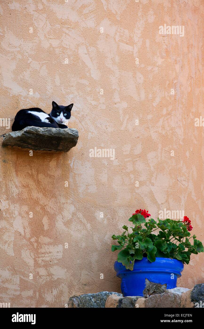 Cateri hi-res stock photography and images - Alamy