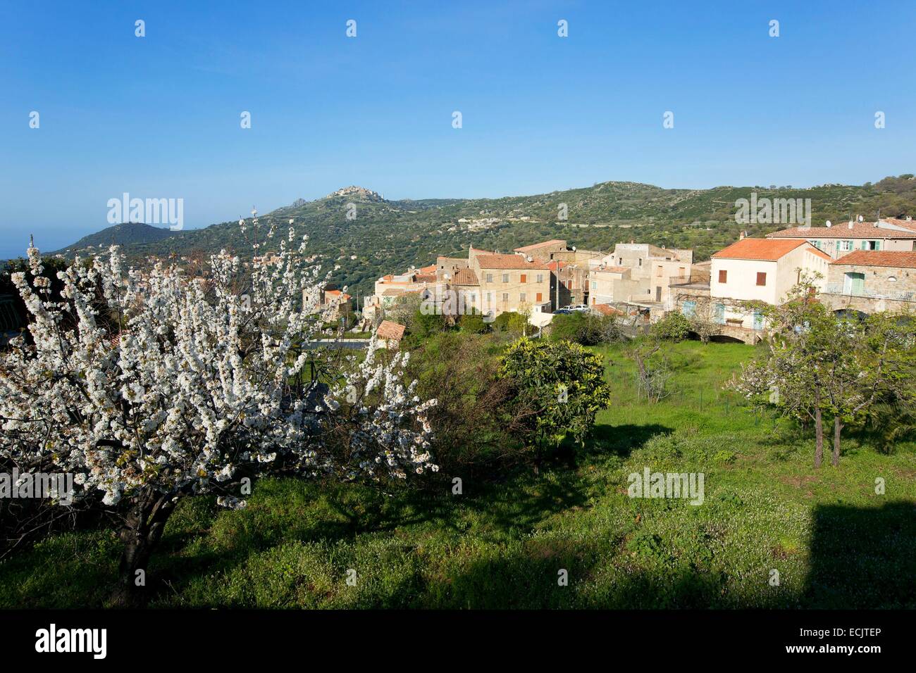 Cateri hi-res stock photography and images - Alamy