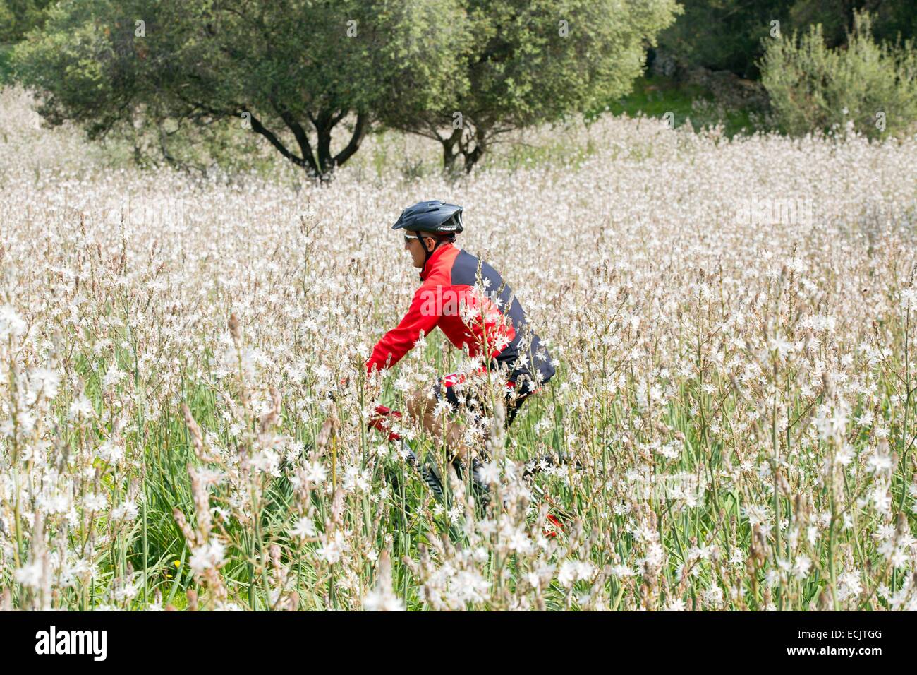 France, Haute Corse, Balagne, Agriates desert, Ostriconi valley ...