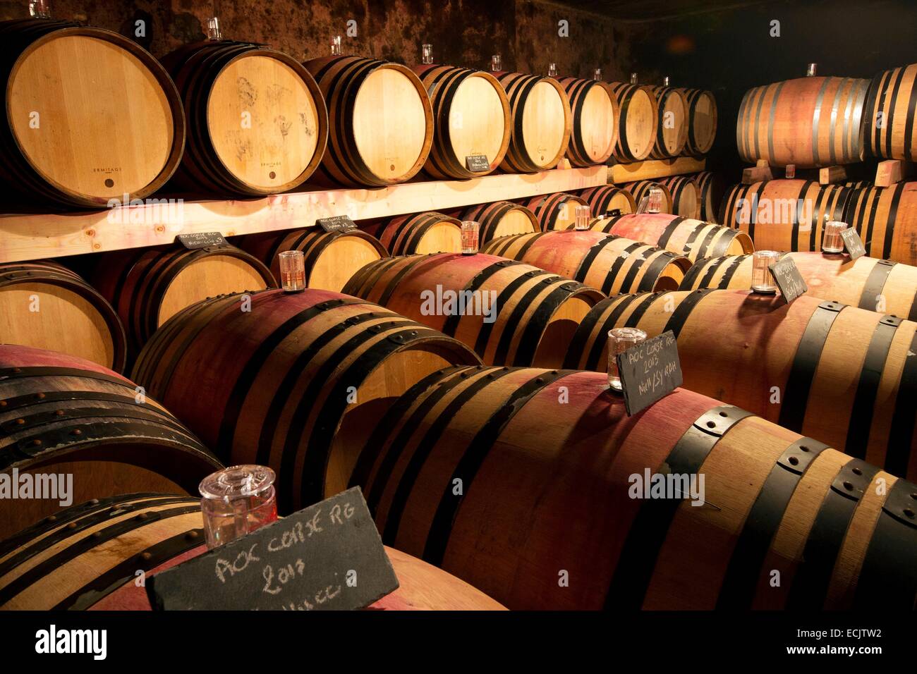 France, Haute Corse, Morosaglia, Ponte Leccia, Clos Venturi, Domaine ...