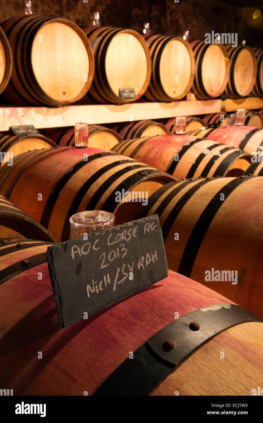 France, Haute Corse, Morosaglia, Ponte Leccia, Clos Venturi, Domaine ...