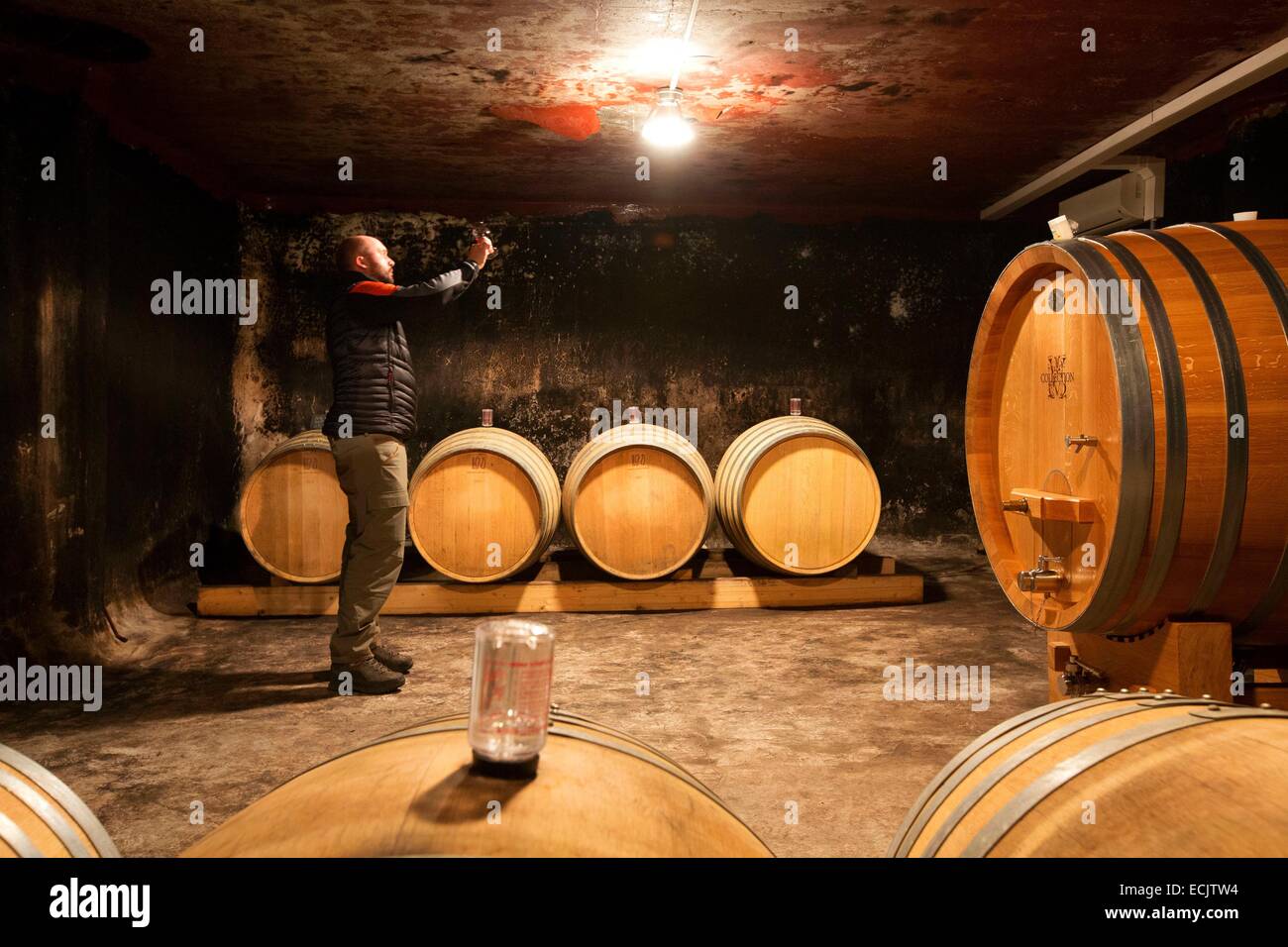 France, Haute Corse, Morosaglia, Ponte Leccia, Clos Venturi, Domaine ...
