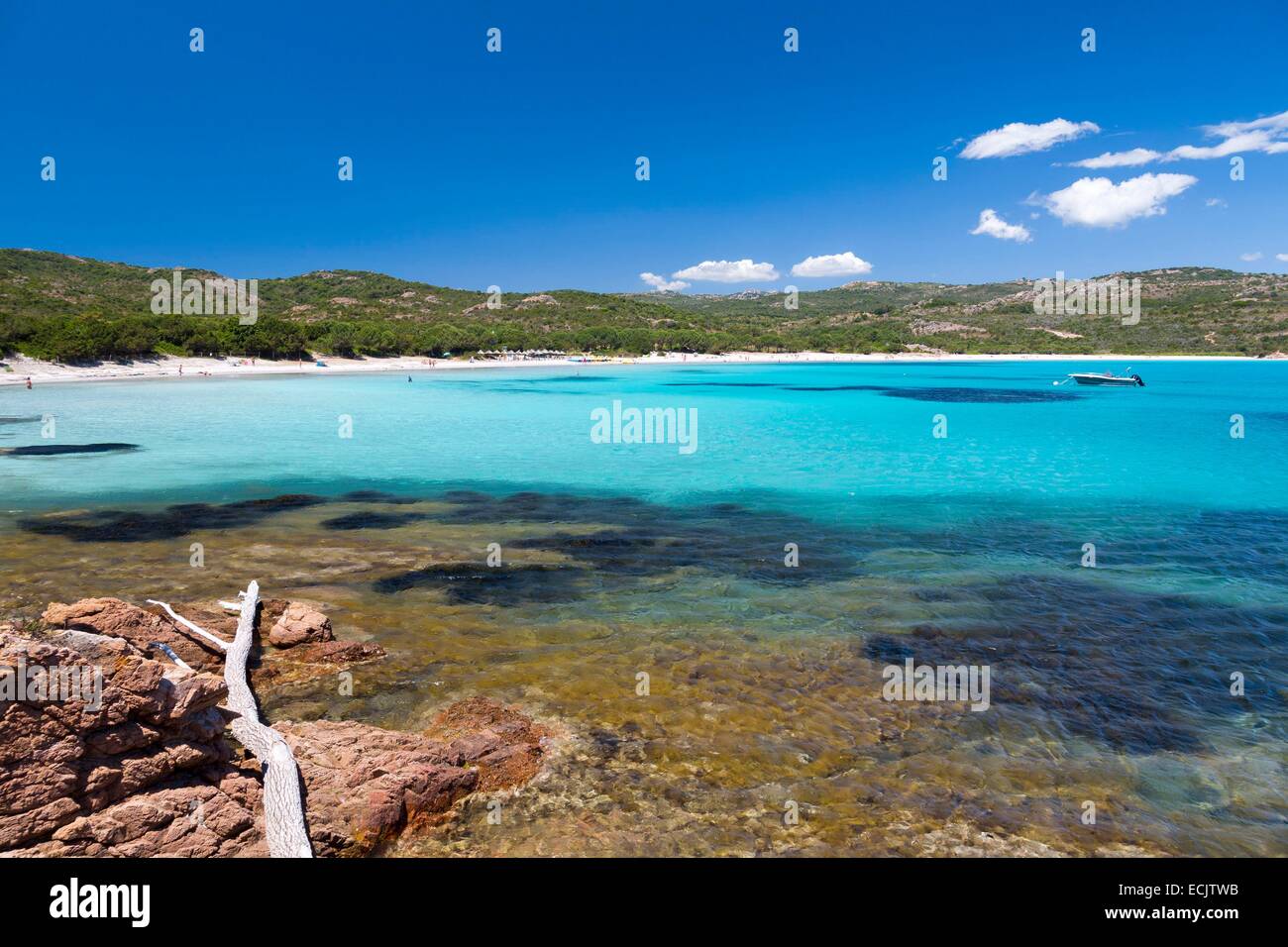 France, Corse du Sud, Bonifacio, Rondinara bay Stock Photo - Alamy