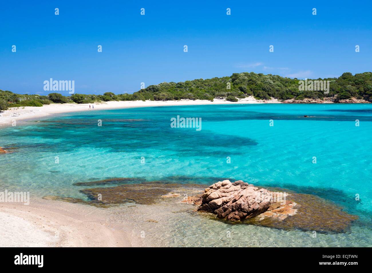 France, Corse du Sud, Bonifacio, Rondinara bay Stock Photo - Alamy