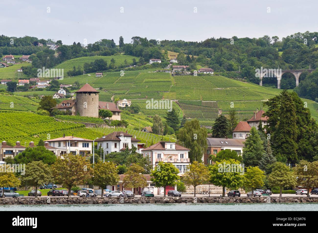 Switzerland, Canton of Vaud, Lavaux Vineyard Terraces listed as World ...