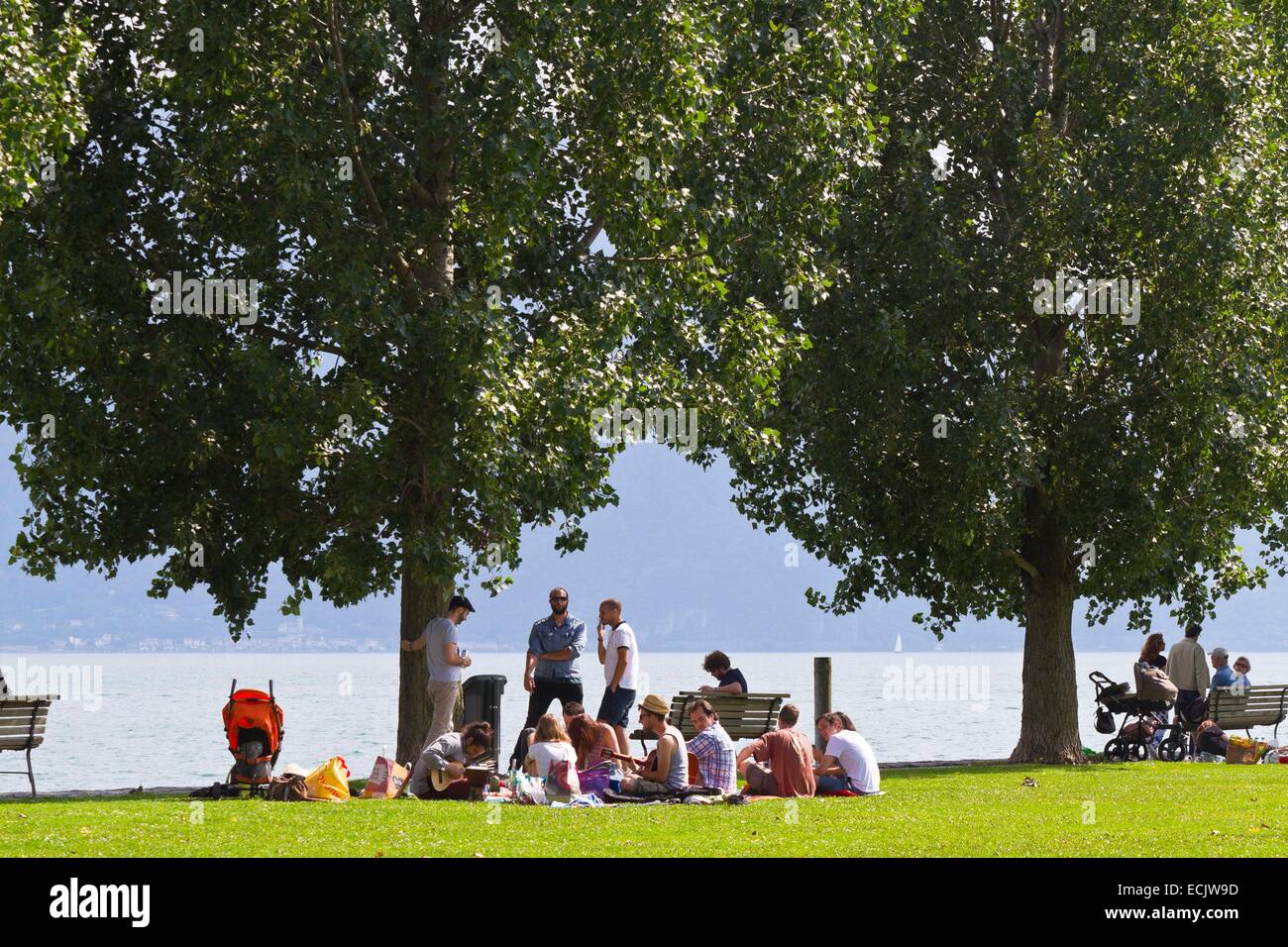 Switzerland, Canton of Vaud, Cully and the shores of Lake Léman Stock ...