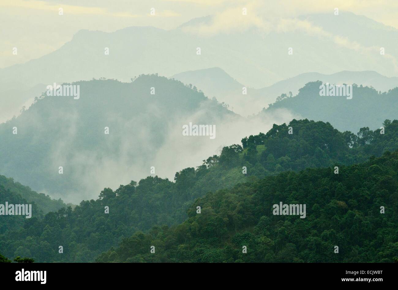 Vietnam, Ha Giang province, Ha Giang, landscape Stock Photo - Alamy
