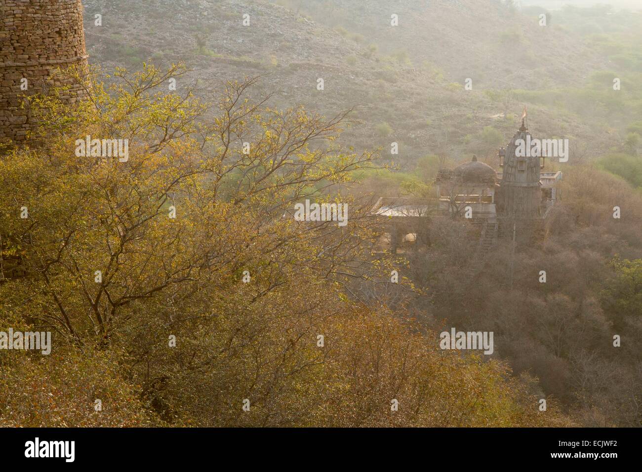 India, Rajasthan state, Ramathra fort, hindi temple Stock Photo - Alamy