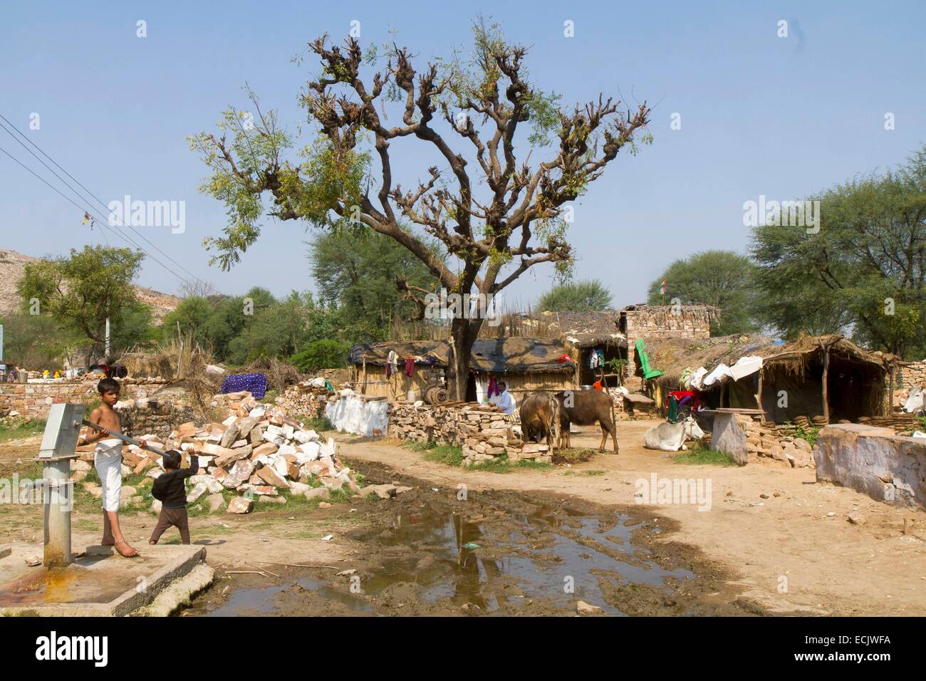 India, Rajasthan state, village down Ramathra fort Stock Photo - Alamy