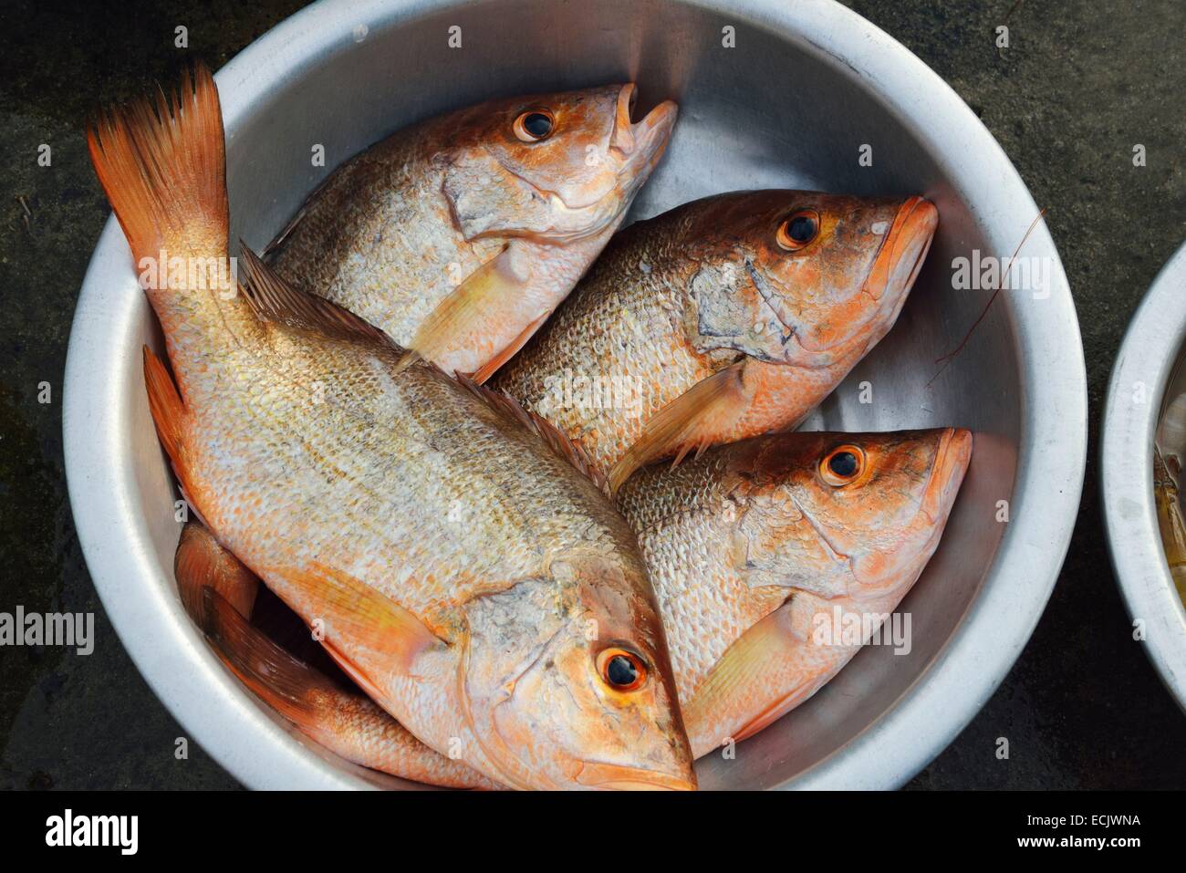 Vietnam, Quang Ninh province, Ha Long bay, listed as World Heritage by ...