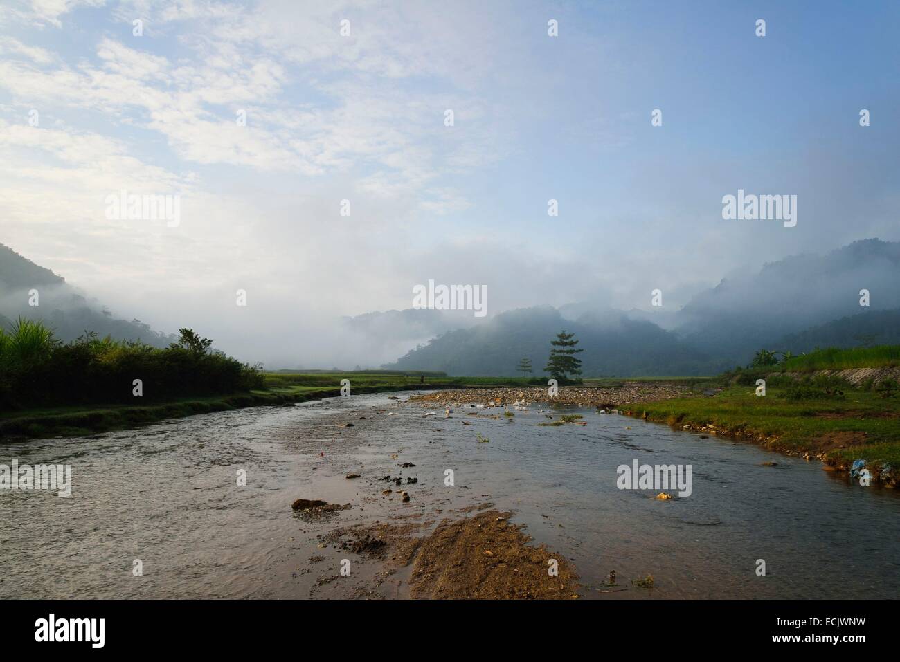 Bac hi-res stock photography and images - Alamy