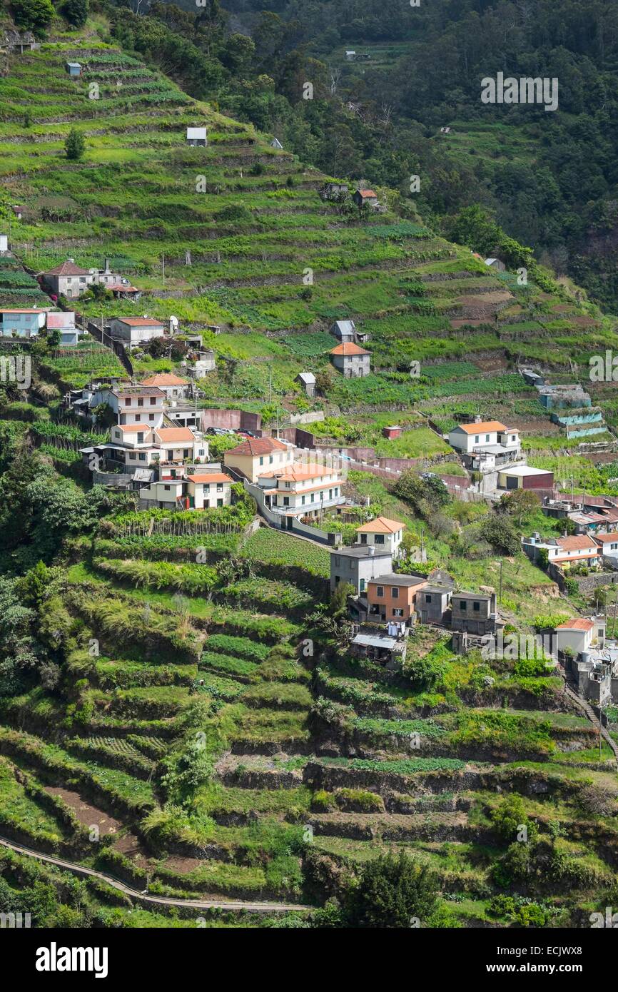 Terrace cultivation architecture hi-res stock photography and images ...