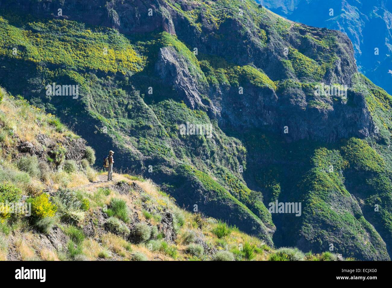 Portugal, Madeira island, hike from Boca da Corrida to Encumeada ...