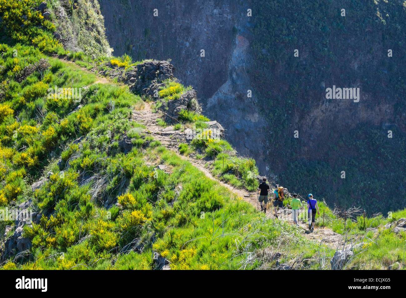 Portugal, Madeira island, hike from Boca da Corrida to Encumeada ...