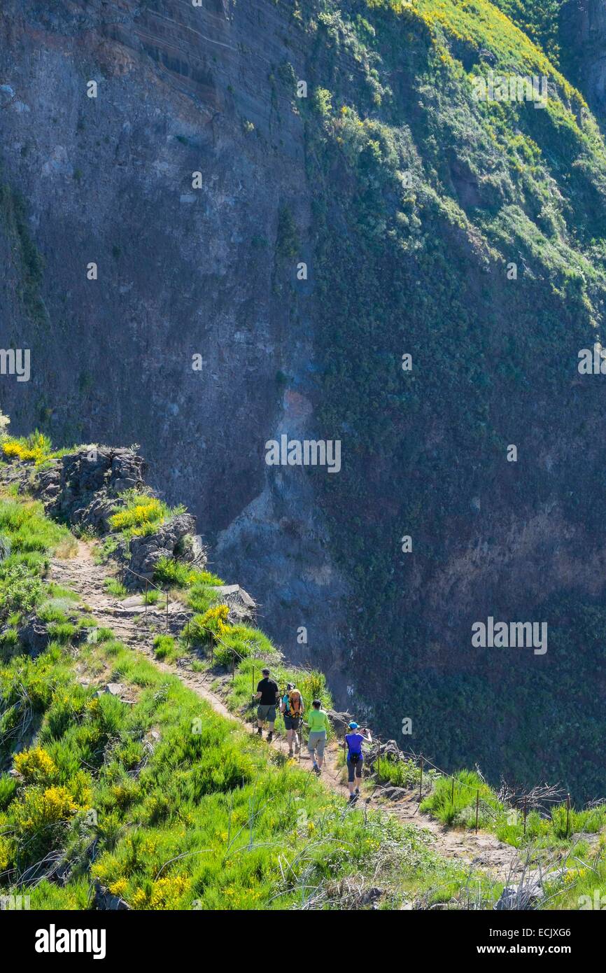 Portugal, Madeira island, hike from Boca da Corrida to Encumeada ...