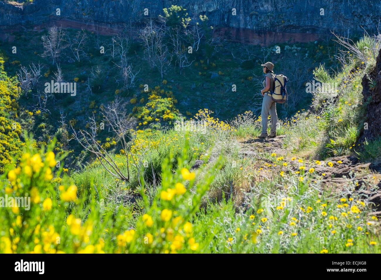 Portugal, Madeira island, hike from Boca da Corrida to Encumeada ...