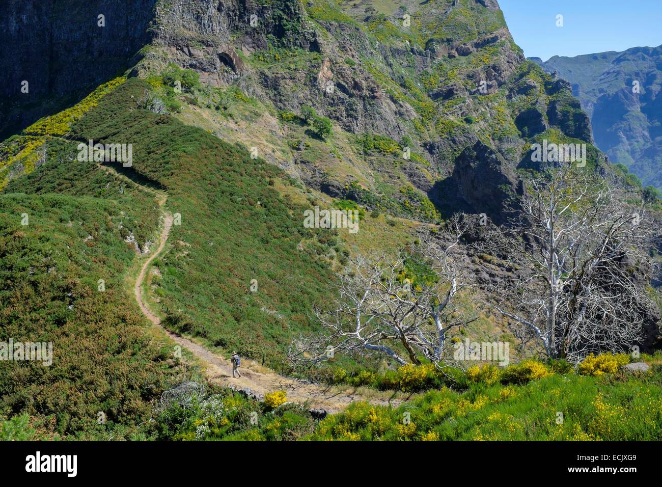 Portugal, Madeira island, hike from Boca da Corrida to Encumeada ...