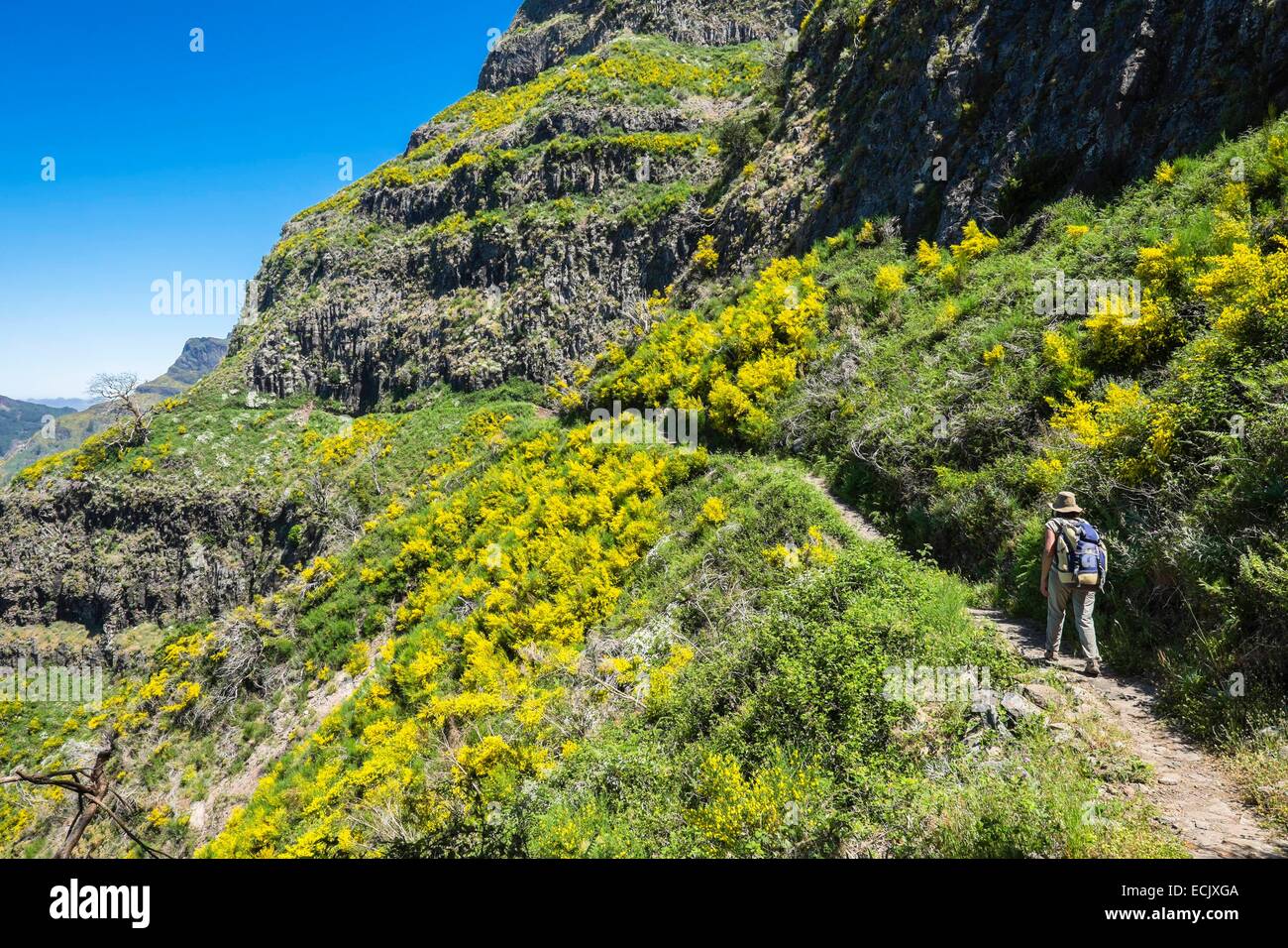Portugal, Madeira island, hike from Boca da Corrida to Encumeada ...