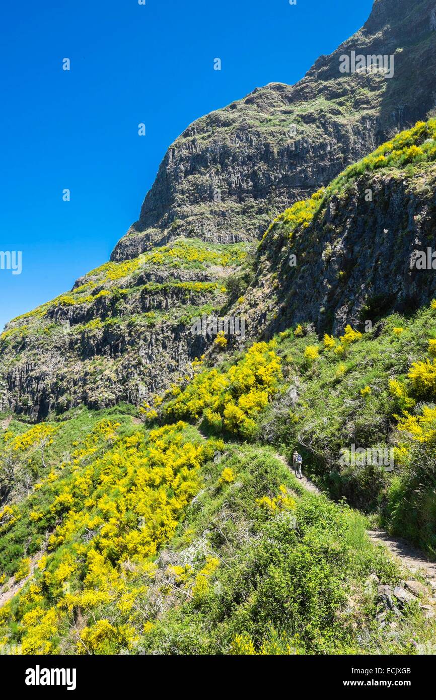Portugal, Madeira island, hike from Boca da Corrida to Encumeada ...