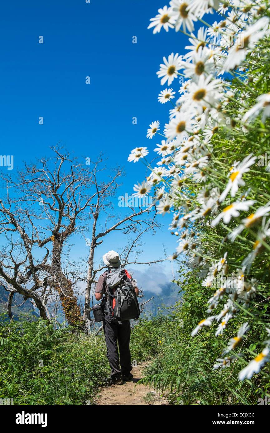 Portugal, Madeira island, hike from Boca da Corrida to Encumeada ...