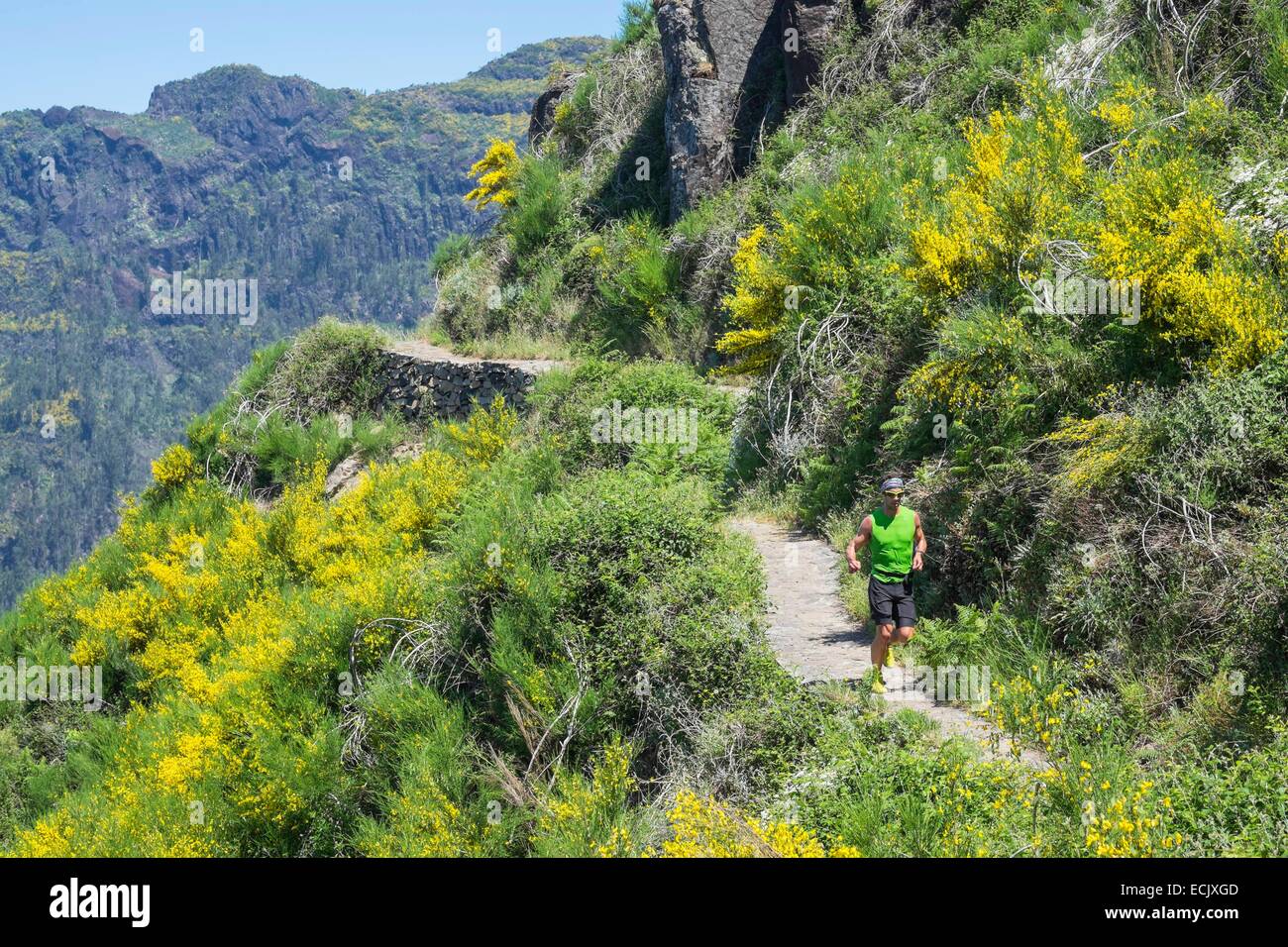 Portugal, Madeira island, hike from Boca da Corrida to Encumeada ...