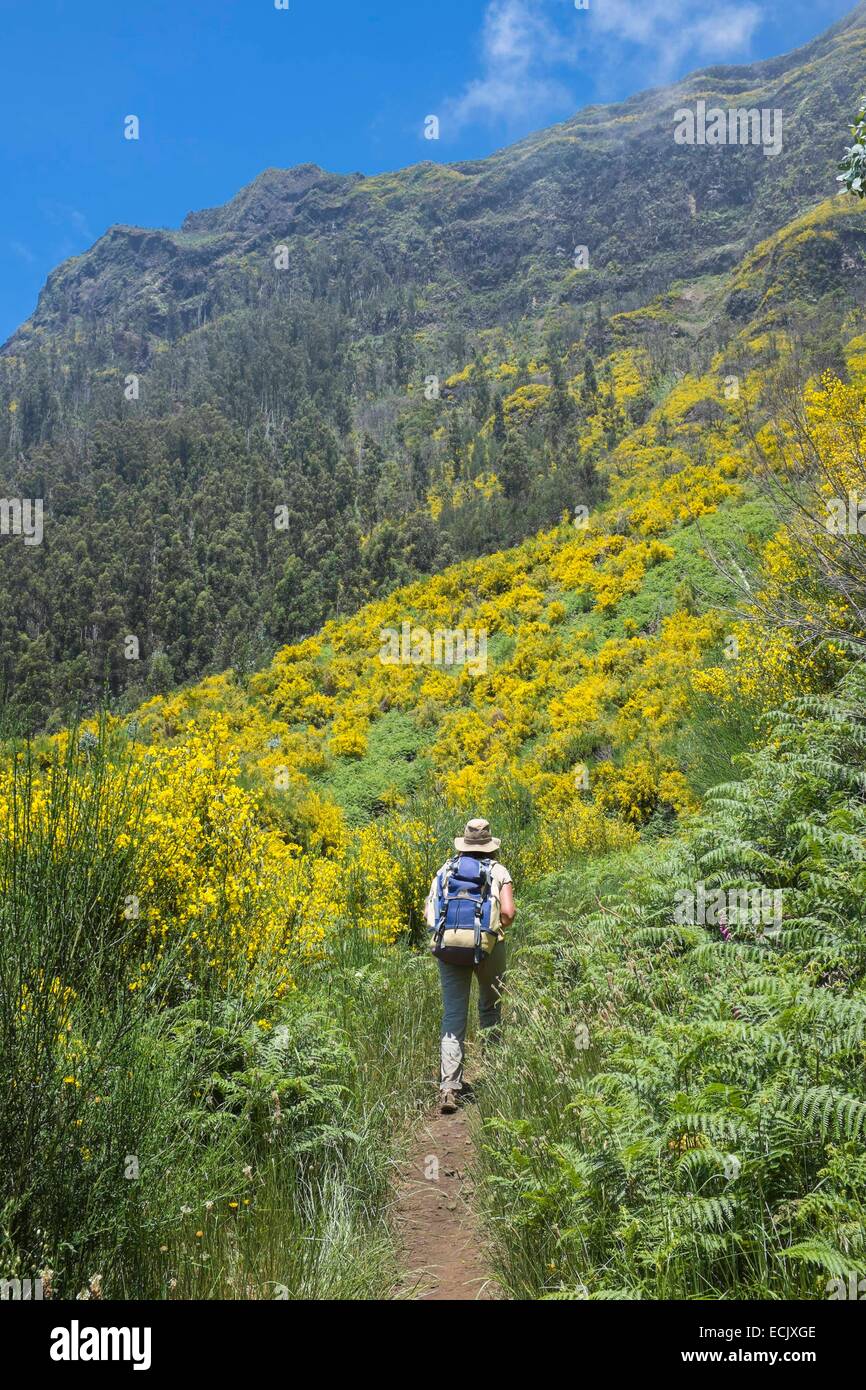 Portugal, Madeira island, hike from Boca da Corrida to Encumeada ...