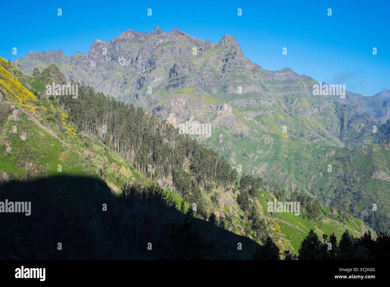 Portugal, Madeira island, hike from Boca da Corrida to Encumeada ...