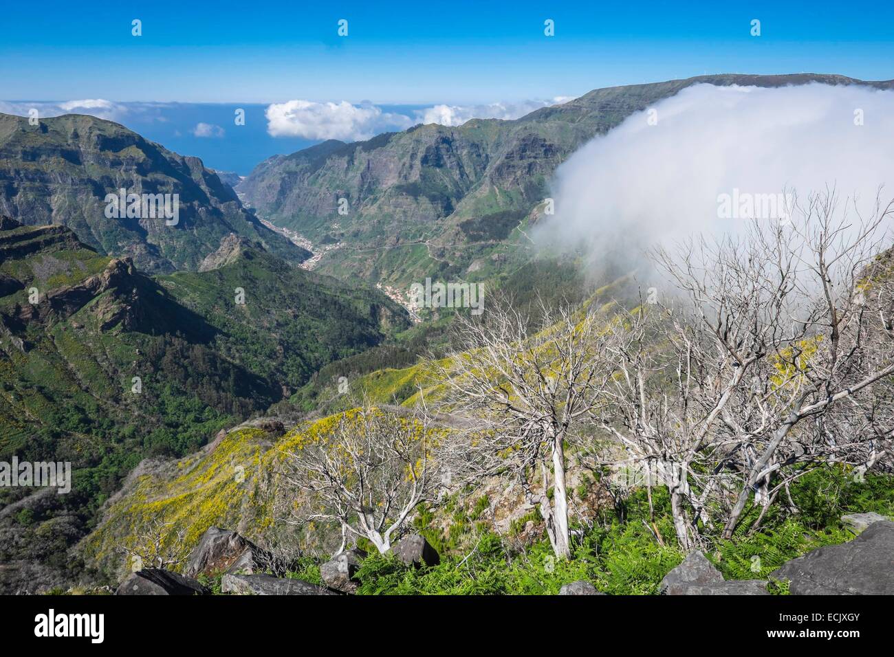 Portugal, Madeira island, hike from Encumeada to Curral das Freiras ...