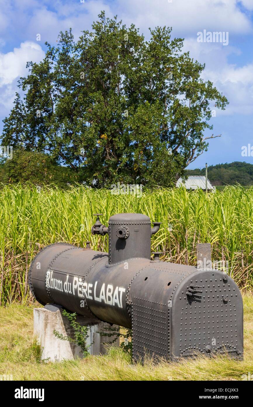 Marie galante fish hi-res stock photography and images - Alamy
