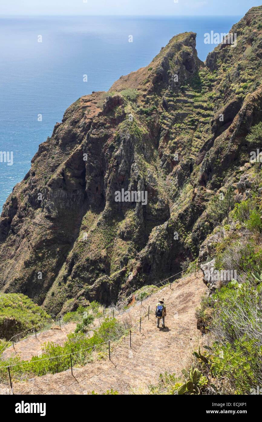 Portugal, Madeira island, hike from Prazeres to Paul do Mar along the ...