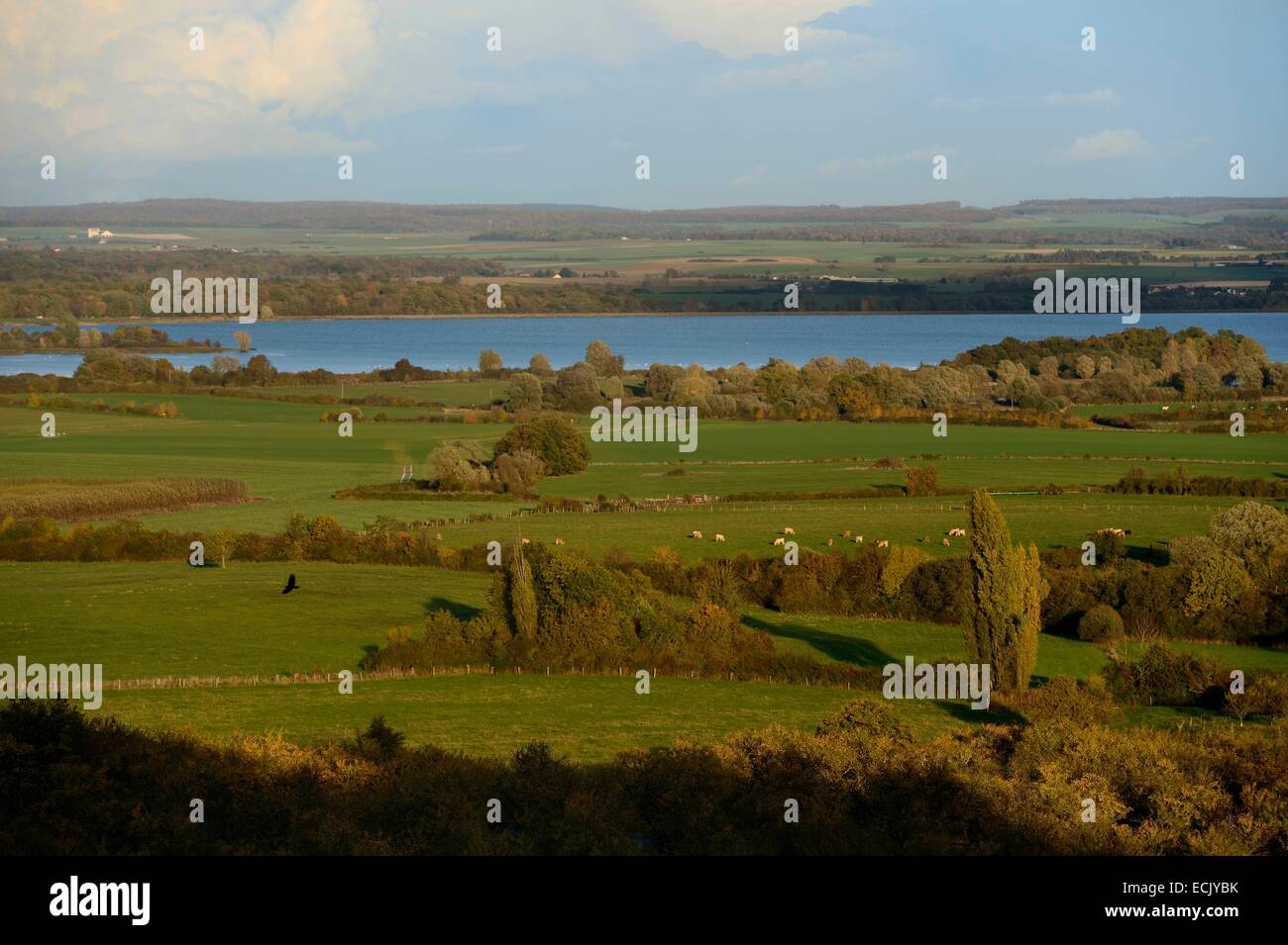 Woevre lorraine france hi-res stock photography and images - Alamy