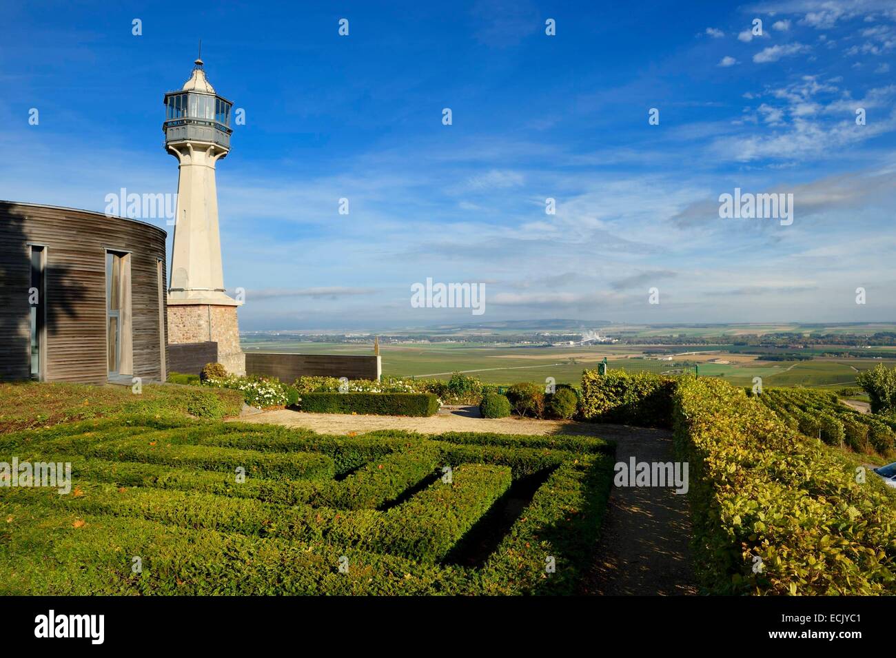 France, Marne, Parc Naturel de la Montagne de Reims (Natural Park of ...